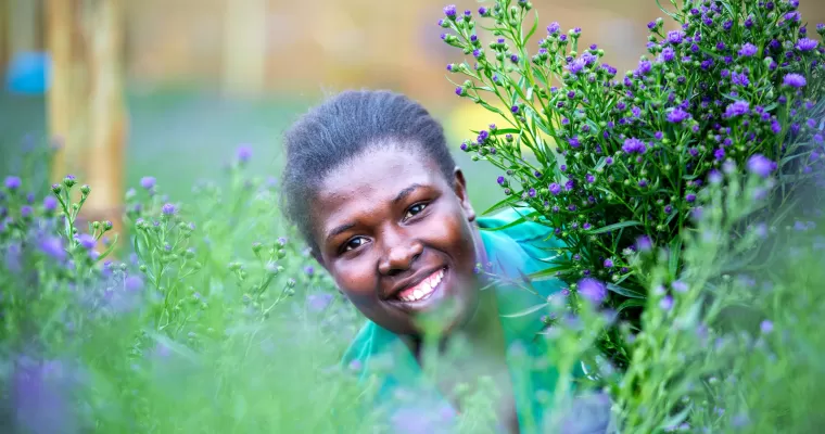 Aster Dark Milka | Marginpar